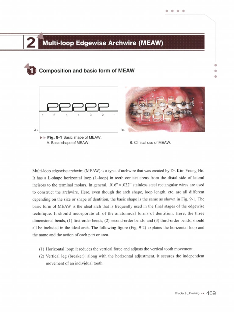 Meaw (Básico) | PDF