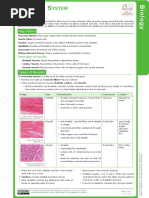 Chapter 7 - Muscular System | PDF | Thumb | Hand
