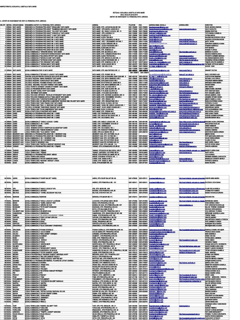 Retea Scolara 2018-2019 - Satu Mare | PDF