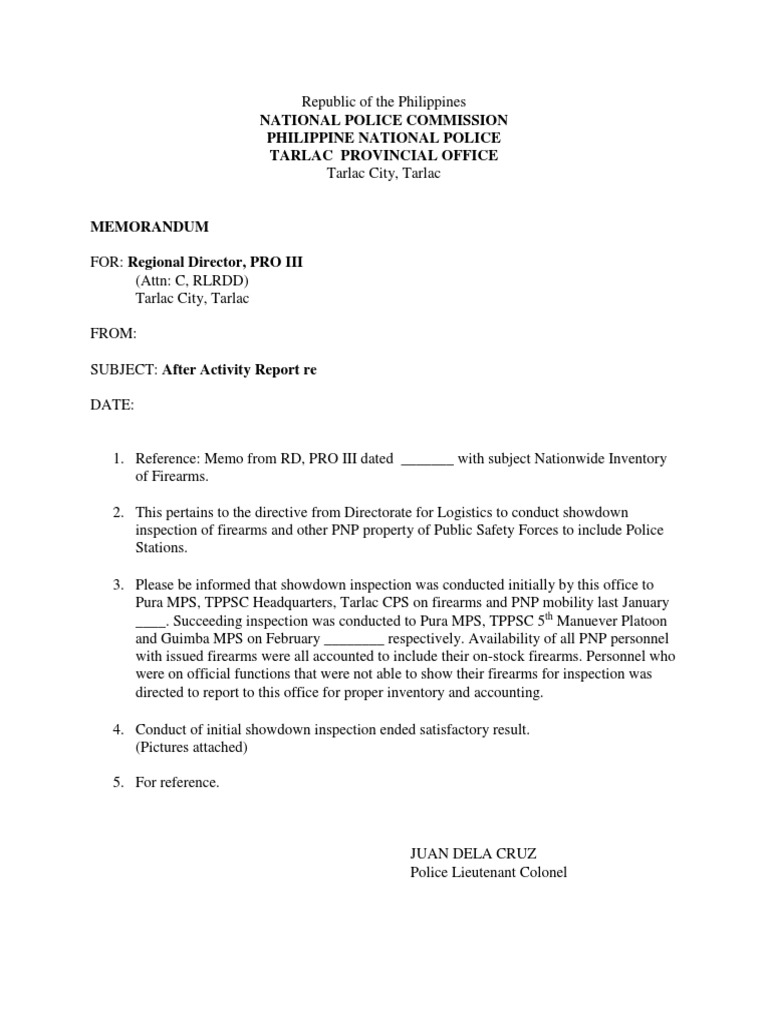 After Activity Report Sample | PDF