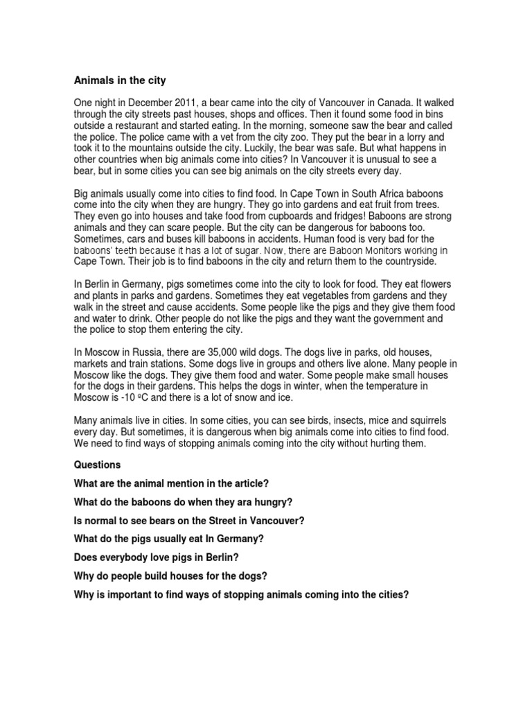 Animals Reading | PDF | Bears | Foods