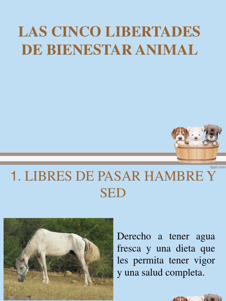 5 Libertades Animales | PDF
