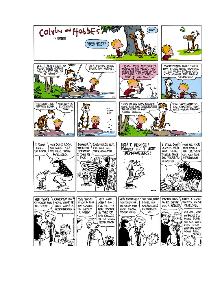 Calvin and Hobbes Comic Strips PDF | PDF
