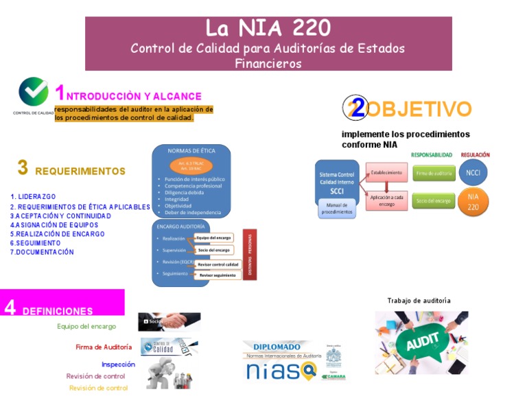 Infografia Nia 220 | PDF | Tecnología