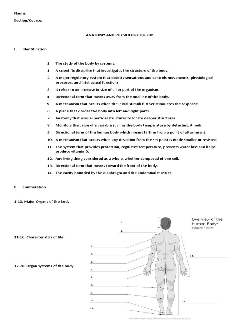 Anatomy and Physiology Quiz #1 | PDF | Human Body | Stimulus (Physiology)