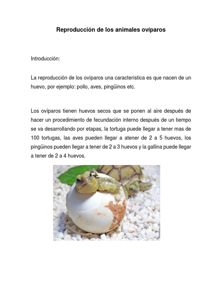 Reproducción de Los Animales Ovíparos | PDF