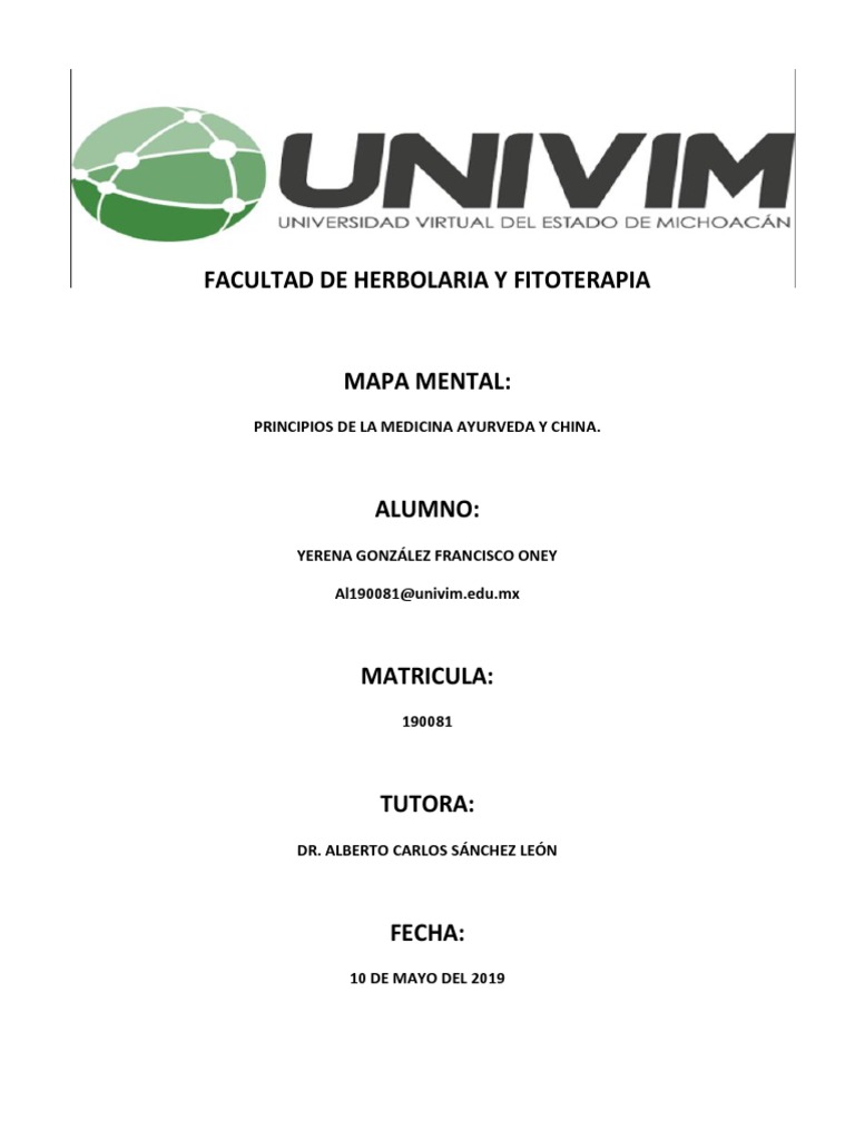 Mapa Mental Mta y MTC Tarea | PDF