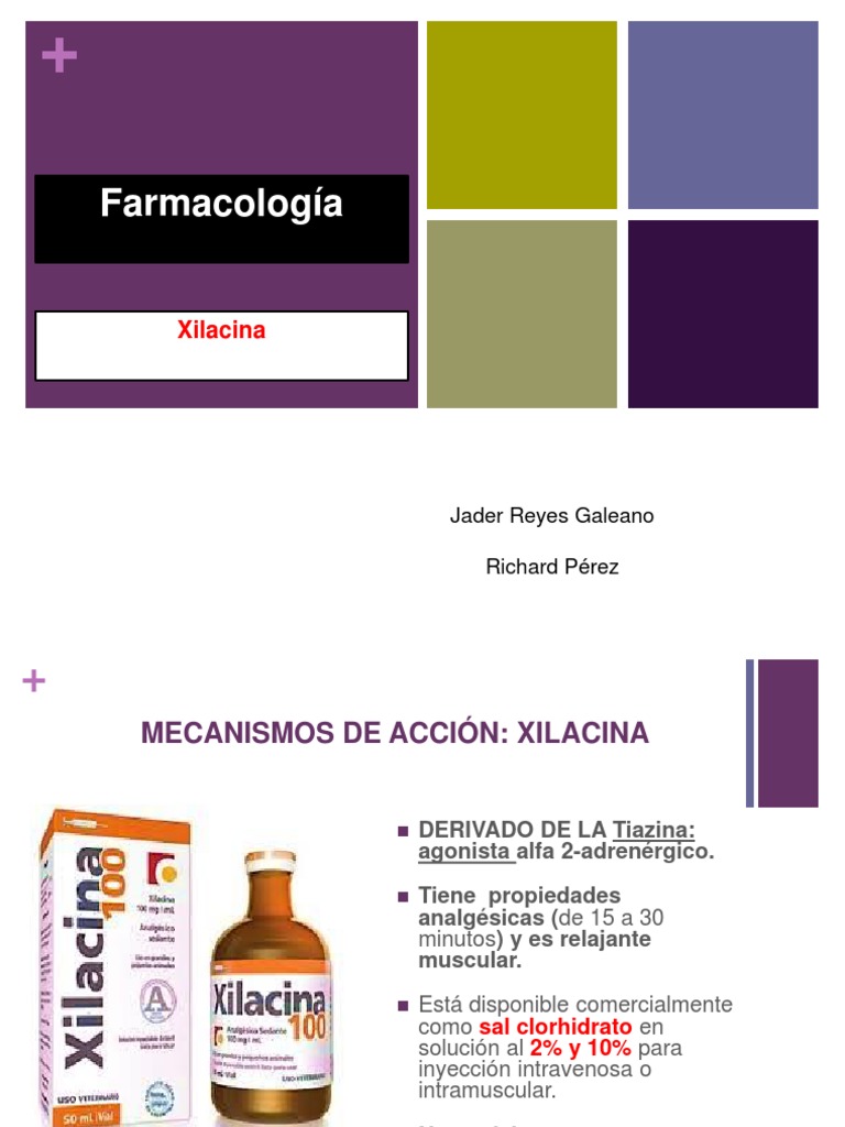 Xilacina | PDF | Tratamientos médicos | Medicina CLINICA