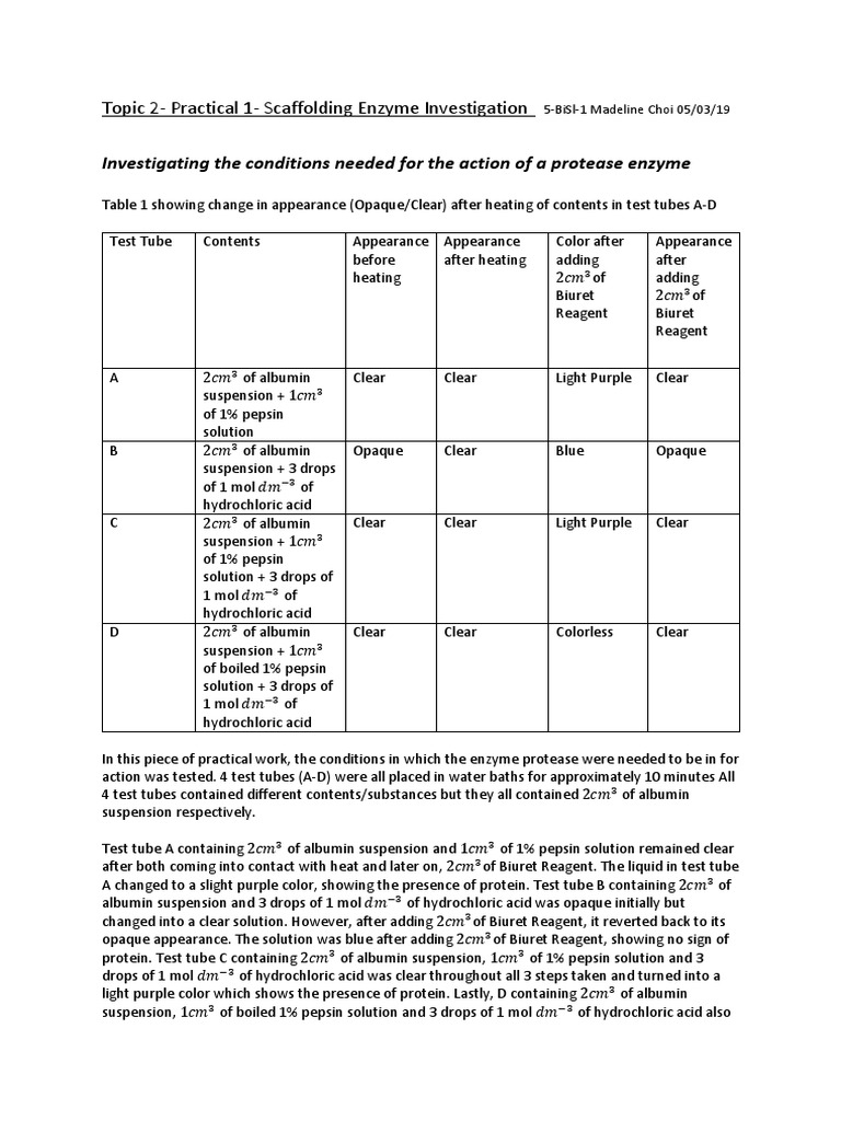 Enzyme Practical 1 | PDF | Digestion | Enzyme