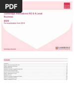 Cambridge Business 9609 Syllabus 2025 | PDF | Marketing | Entrepreneurship