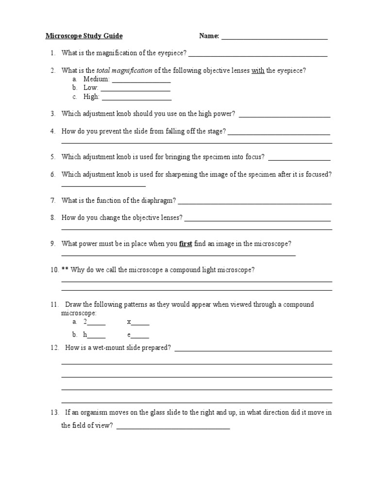 Microscope Study Guide | PDF | Glass Engineering And Science | Natural ...