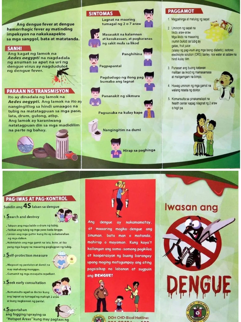 Dengue Pamphlets | PDF