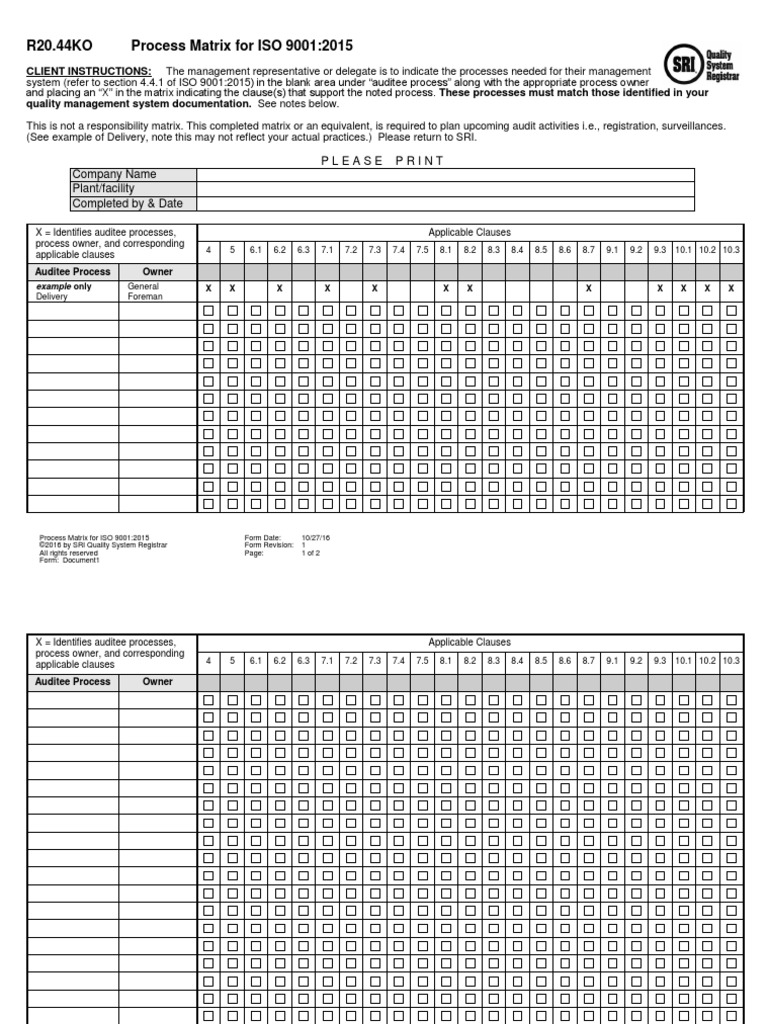 Process Matrix Template | PDF | Audit | Business