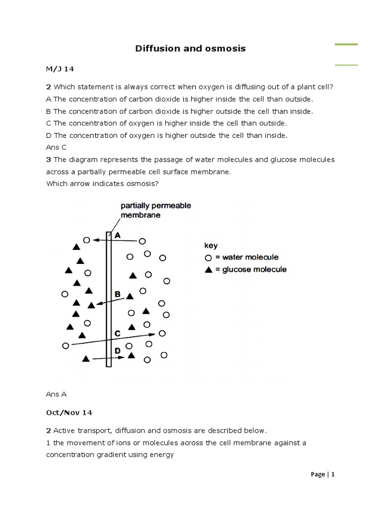 2.diffusion and Osmosis | PDF | Osmosis | Diffusion