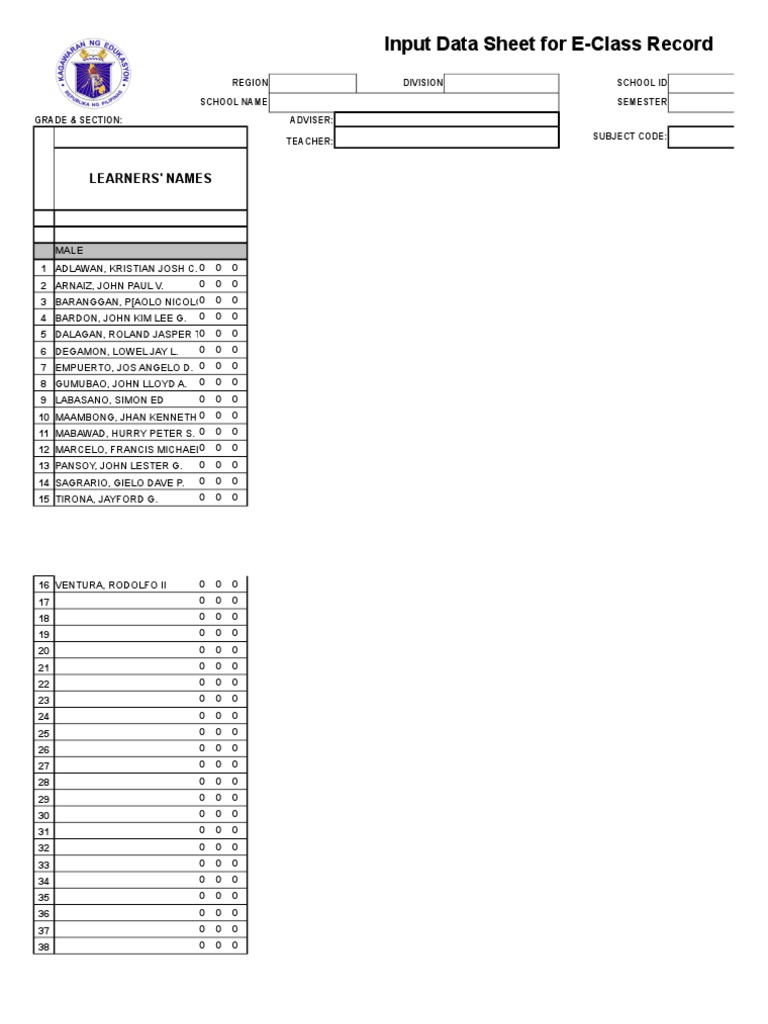 E-Class Record Input Data Sheet | PDF