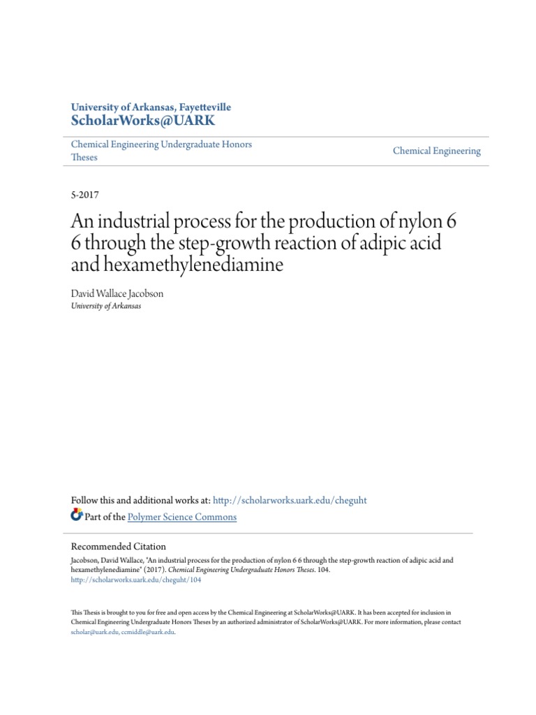 Nylon 6 Production Process Thesis | PDF | Chemical Reactor | Nylon