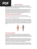 Quemaduras Faciales y Signos de Flogosis | PDF | Quemar | Inflamación