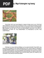 Photo Essay - Tagalog | PDF