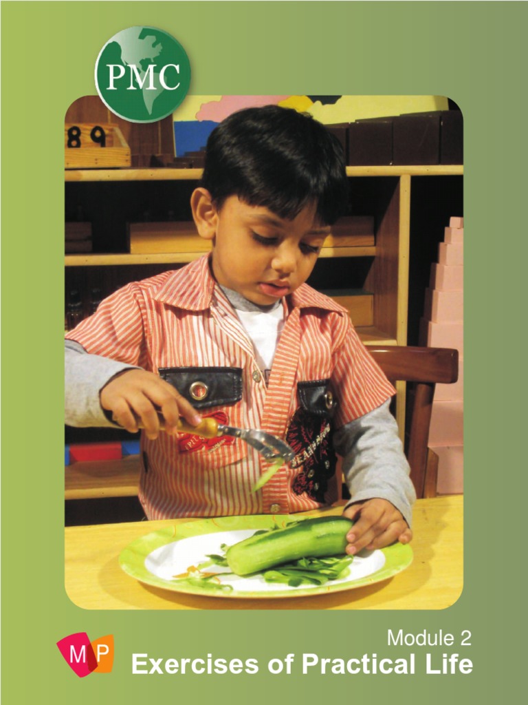 Module 2 Sample | PDF | Childhood | Montessori Education