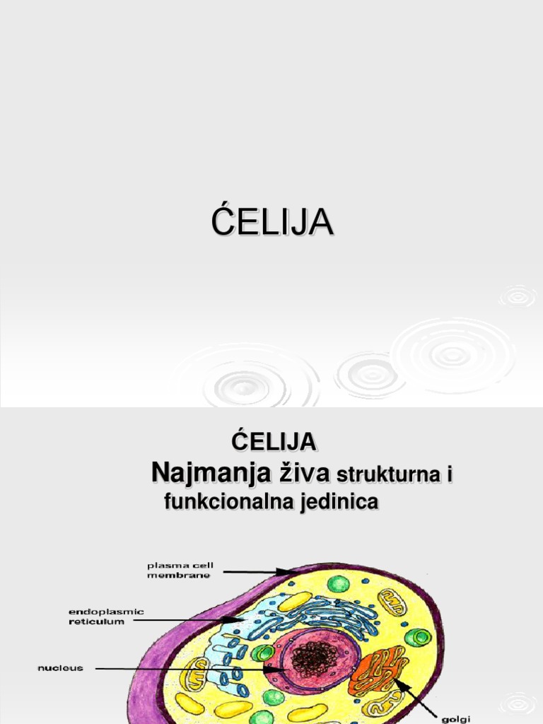 02 Celija | PDF