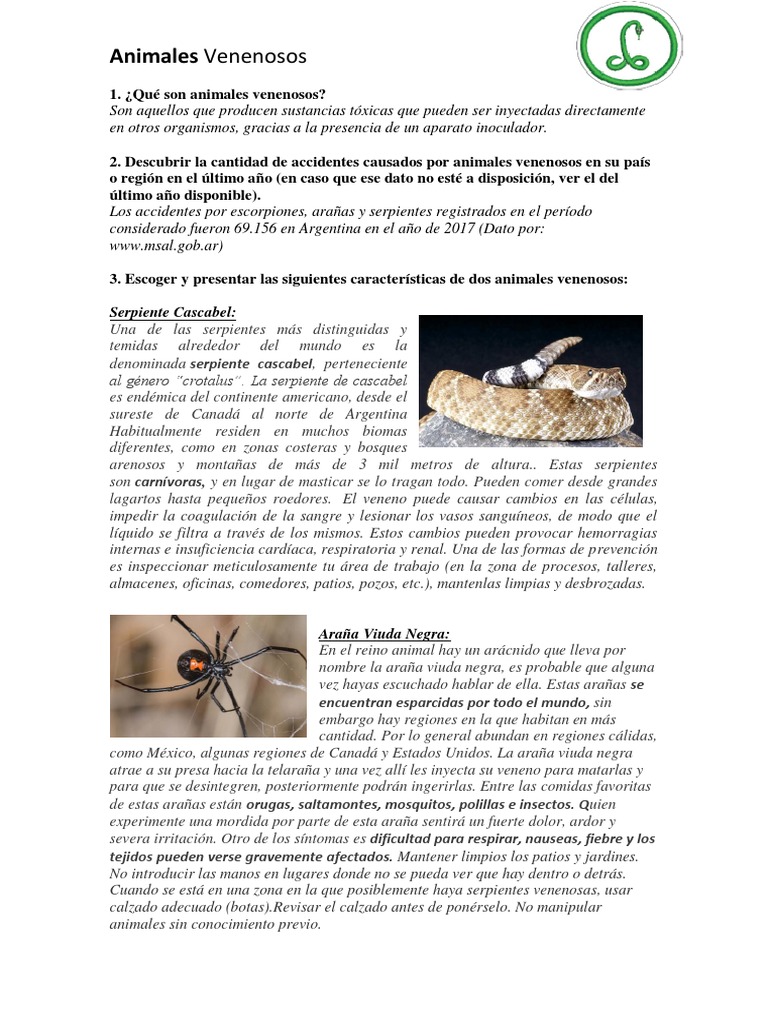 Especialidad Animales Venenosos Desarrollada | PDF | Araña | Serpiente