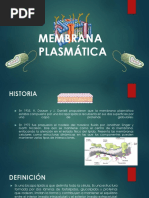 Acantocitosis y Estomacitosis | PDF | Glóbulo rojo | Sodio