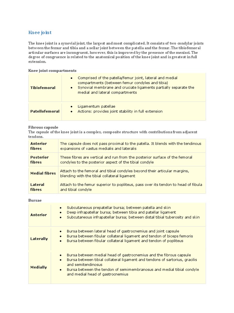 Knee Joint Compartments | PDF | Knee | Skeletal System
