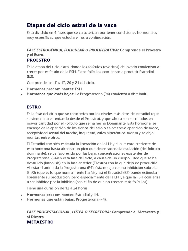 Etapas Del Ciclo Estral de La Vaca | PDF | Hormona luteinizante | Gonadotropina