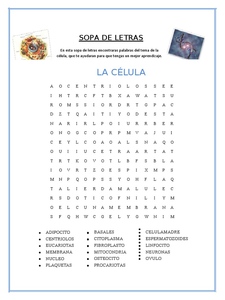 Sopa de letras y crucigrama celular | PDF | Citoplasma | Biología Celular)