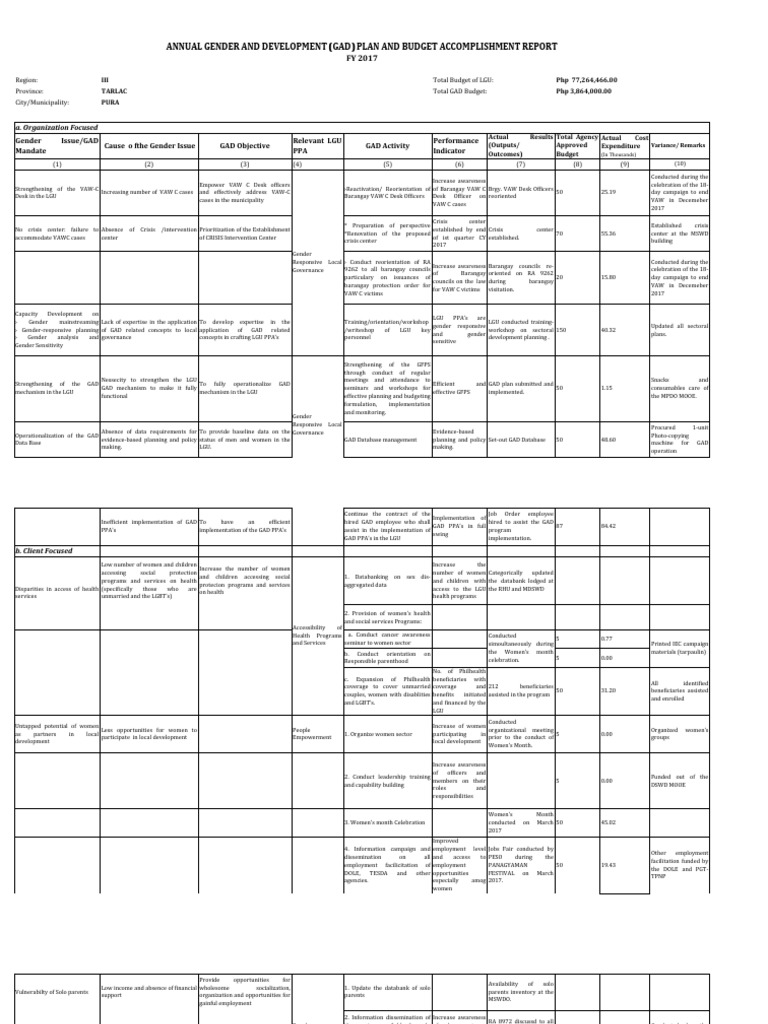 Annual Gender and Development (Gad) Plan and Budget Accomplishment ...