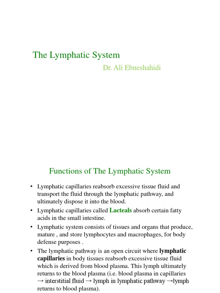 The Lymphatic System | PDF | Lymphatic System | Lymph