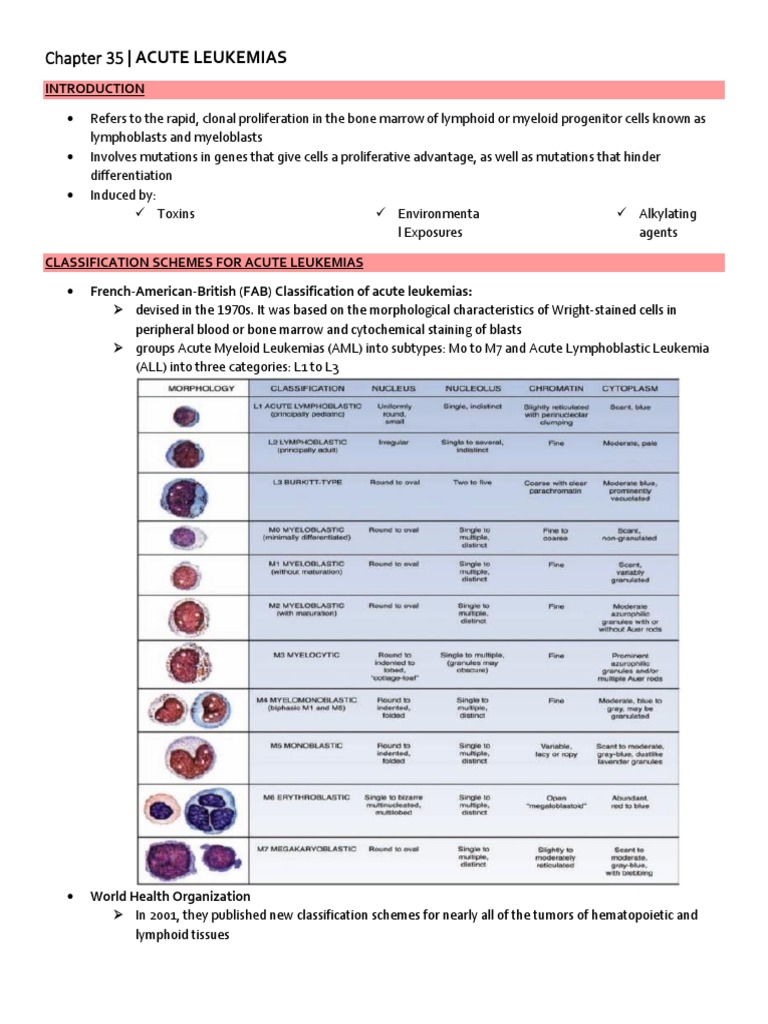 Acute Leukemia Handout | PDF | Leukemia | Anatomy