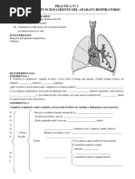 Sopa de Letras: Sistema Circulatorio | PDF