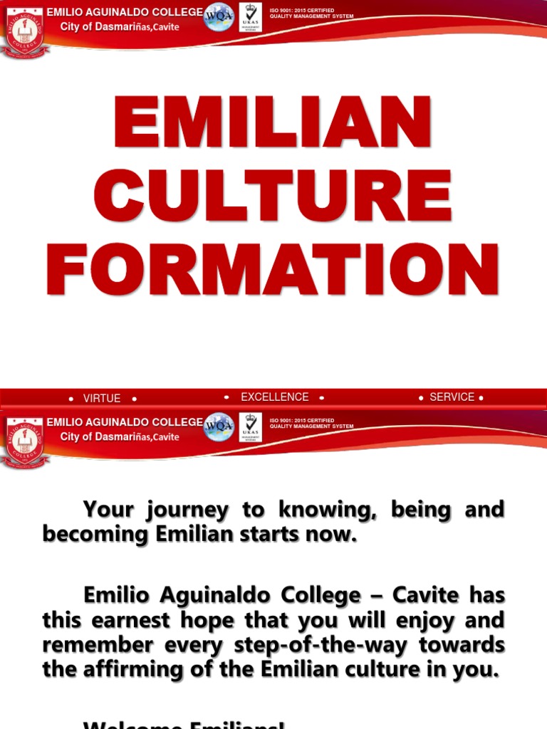 Ecf | PDF | Quality Management | Quality Management System