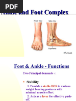 Posterior Tibial Tendon Insufficiency (PTTI) - Foot & Ankle ...