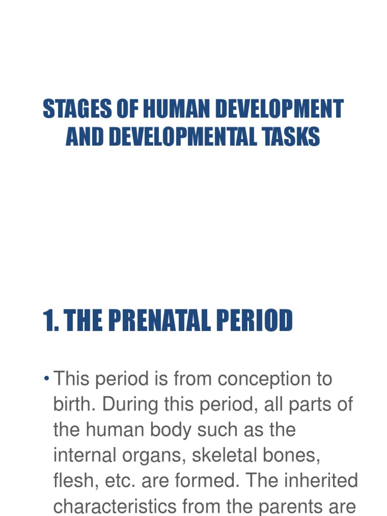Stages of Human Development: A Comprehensive Breakdown of Developmental ...