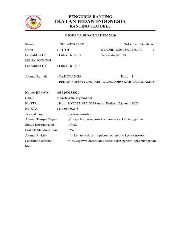 Biodata Ibi | PDF
