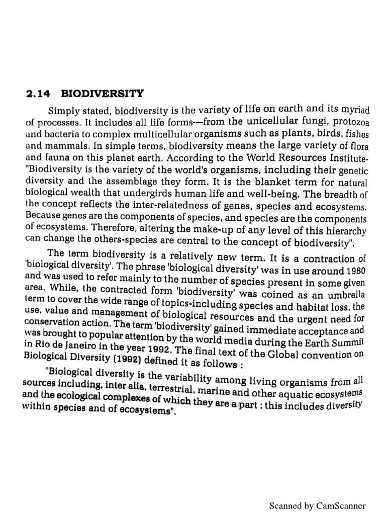 A collection of blank pages scanned by CamScanner without discernible ...