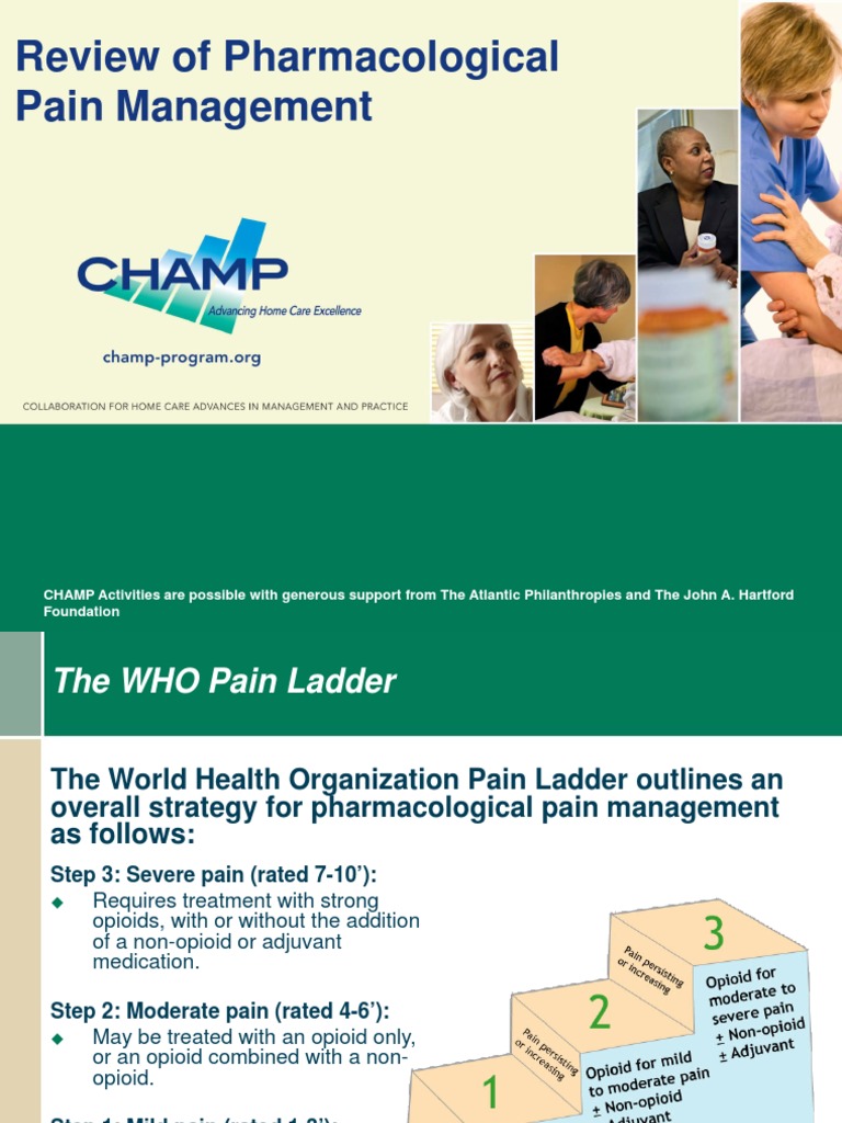 Review WHOPainLadder OpioidsandNonOpioids | PDF | Opioid | Analgesic