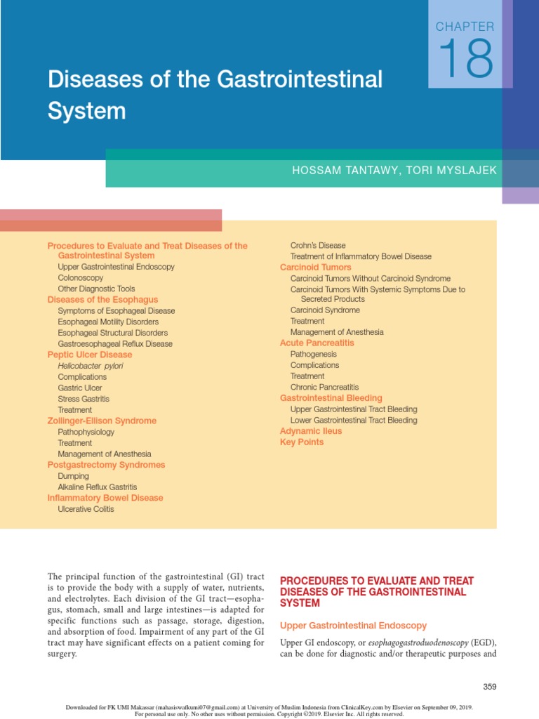 Patophsyiology Gerd | PDF | Gastroesophageal Reflux Disease | Heartburn