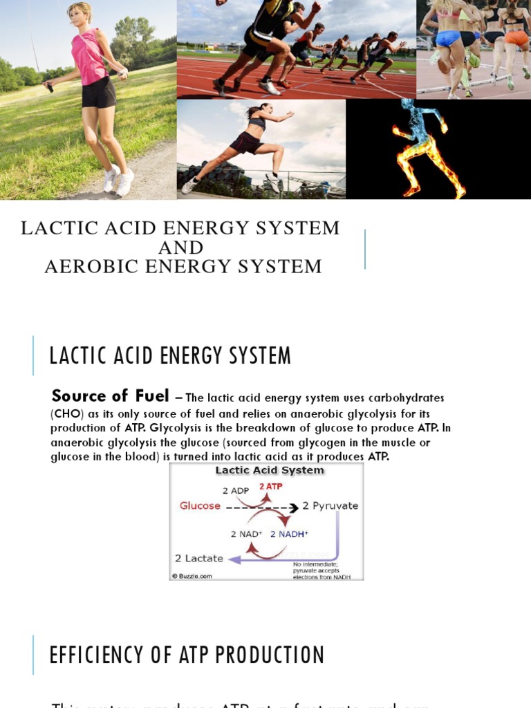 Lactic Acid Energy System | PDF | Cellular Respiration | Lactic Acid