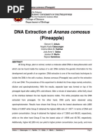Dna Extraction Lab Report | PDF | Experiment | Dna