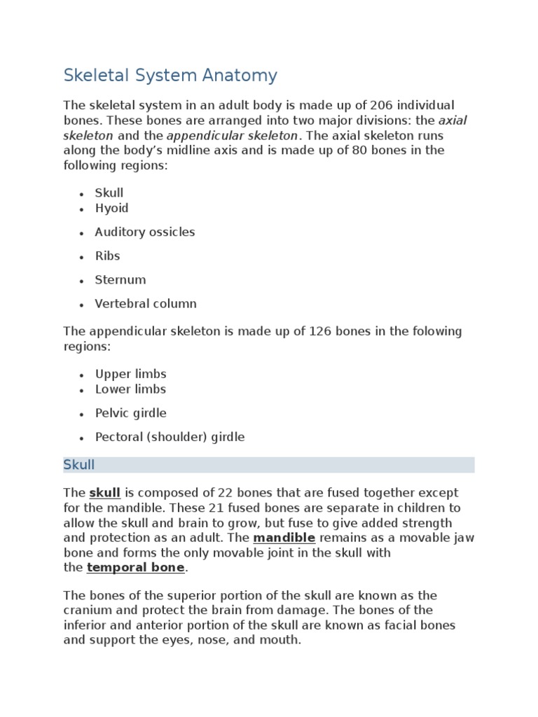 Skeletal System Anatomy Skeleton And The Appendicular Skeleton The