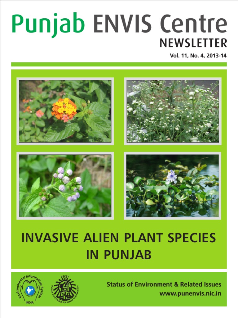 Invasive Alien Plant Species PDF | PDF | Invasive Species | Introduced ...