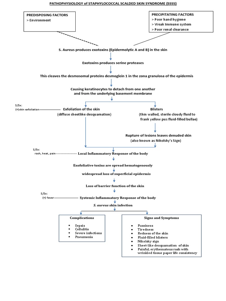 Pathophysiology of Staphylococcal Scalded Skin Syndrome SSSS | PDF ...