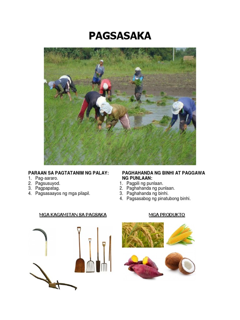 PAGSASAKA | PDF
