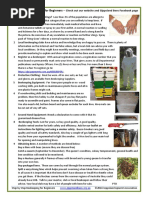 Mixed Hive Guide | PDF | Beehive | Bees