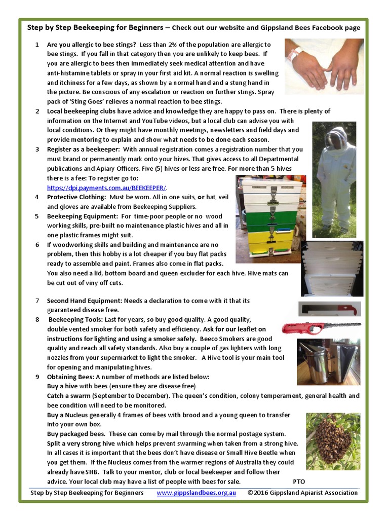 Beekeping For Beginners | PDF | Beehive | Beekeeping