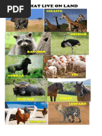 Animals Chart | PDF
