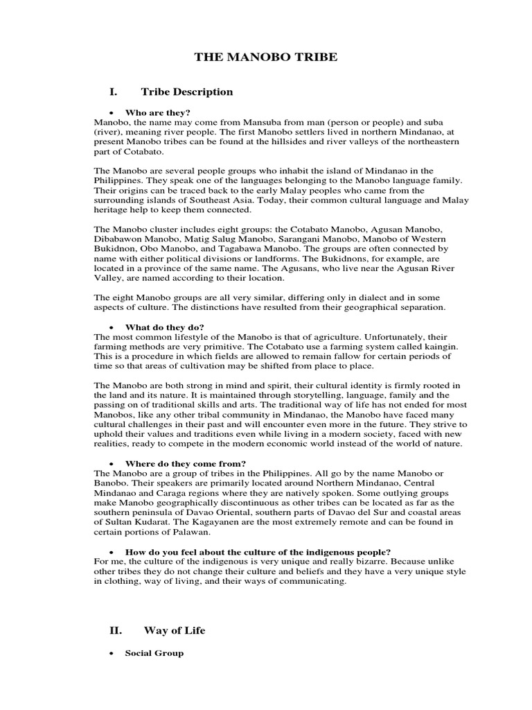 Manobo Tribe | PDF | Mindanao | Ethnicity